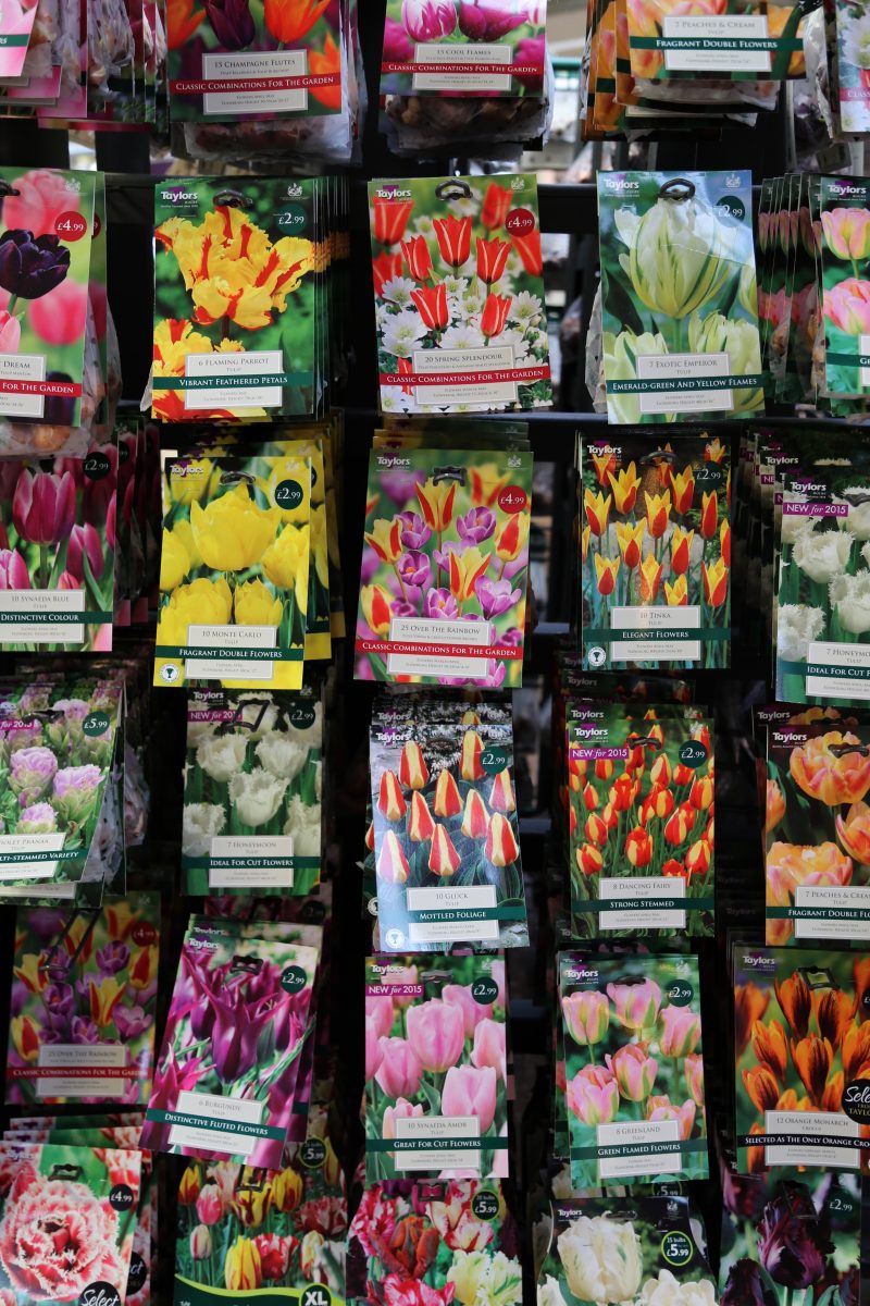 Seeds and Seed planting in Jersey | Ransoms Garden Centre